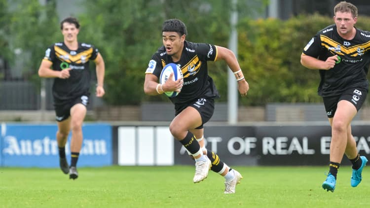 Western Force | News | Tickets | Game