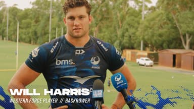 Latest Rugby Videos | Western Force