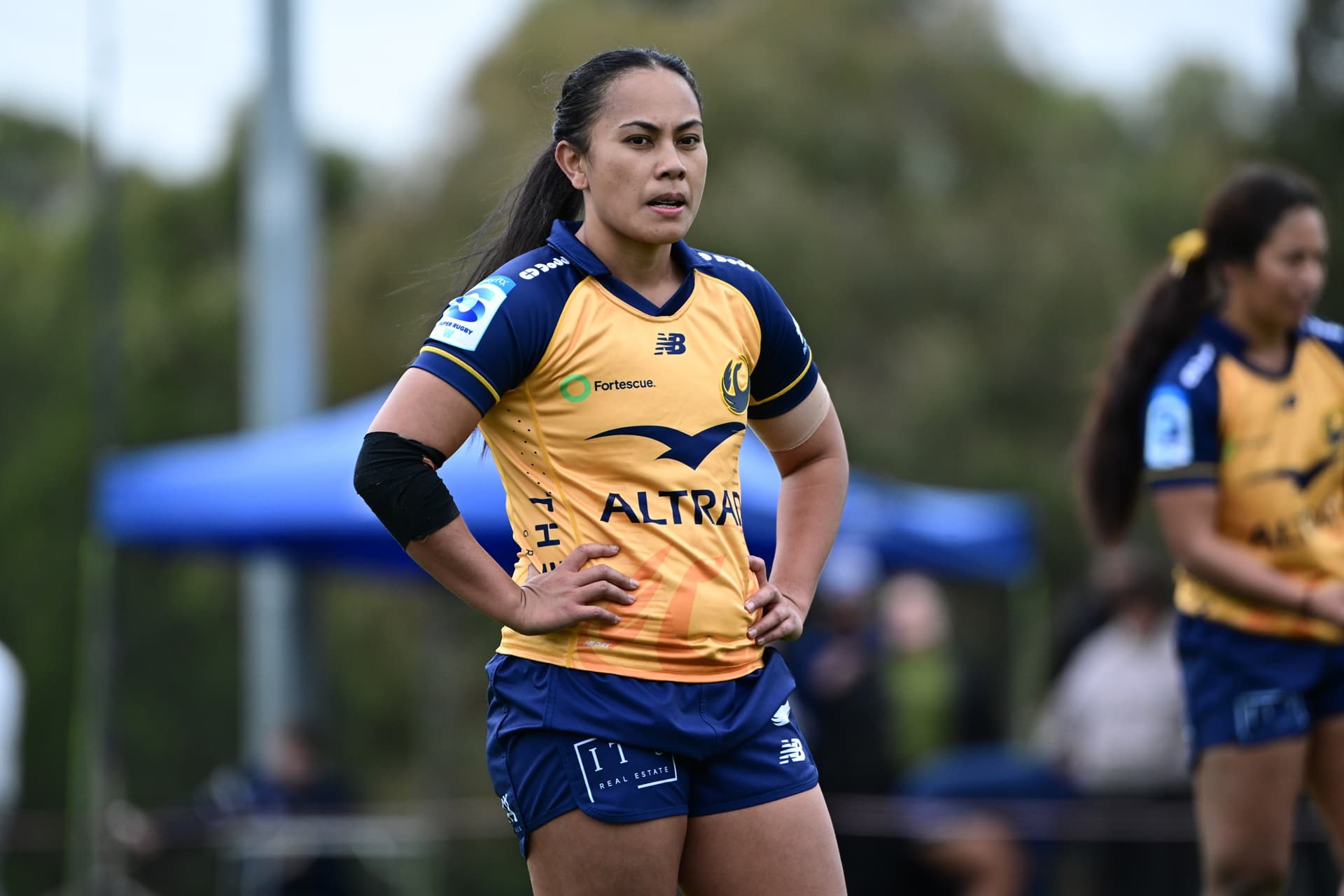'Win this competition': Expectations set high for Force ahead of Super ...
