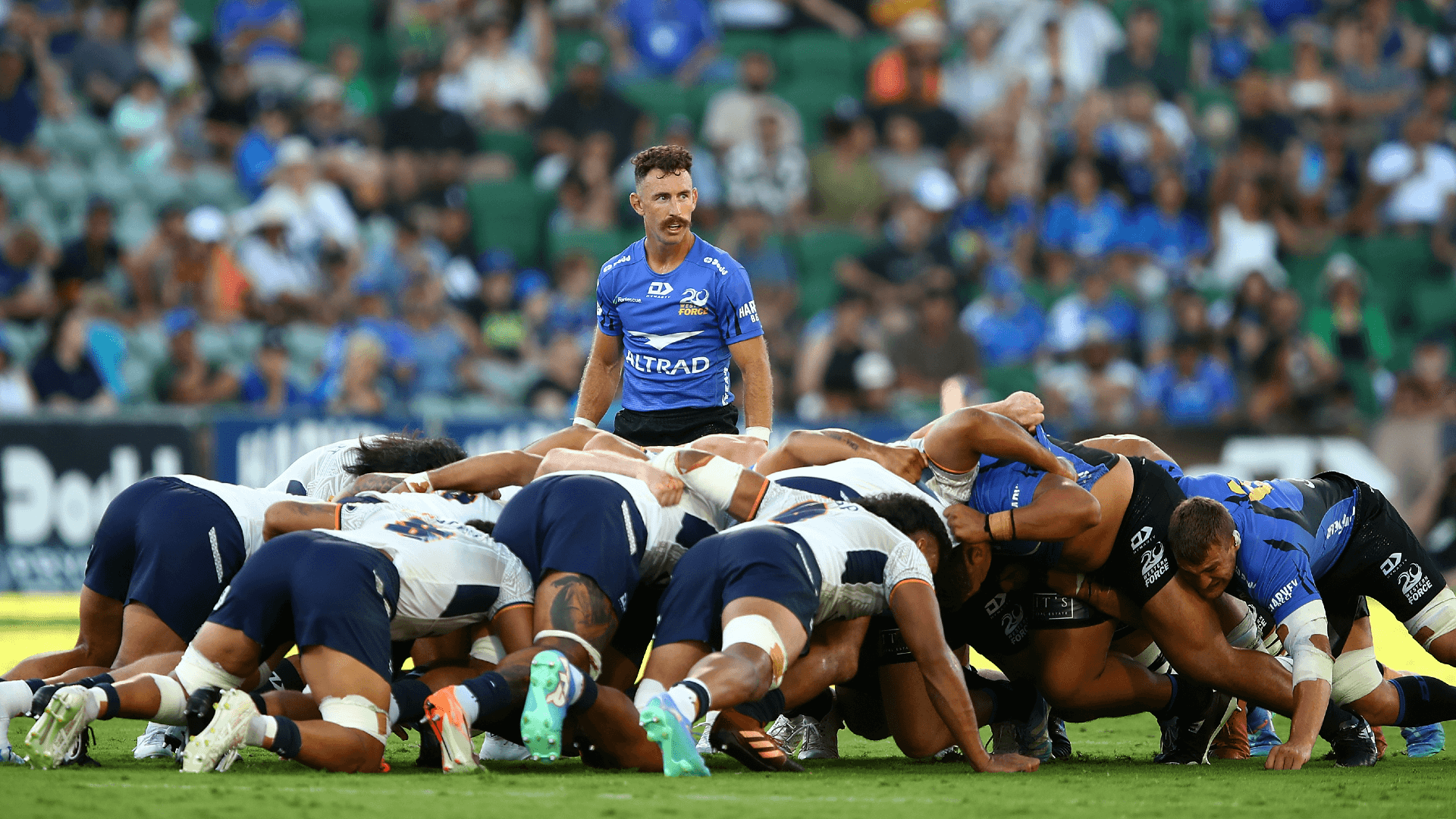 White to retire from Wallabies & Western Force